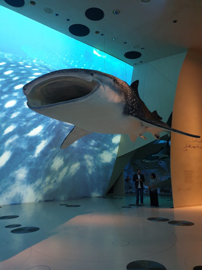 Top 10 tips when visiting the National Museum of Qatar - New In Doha ...