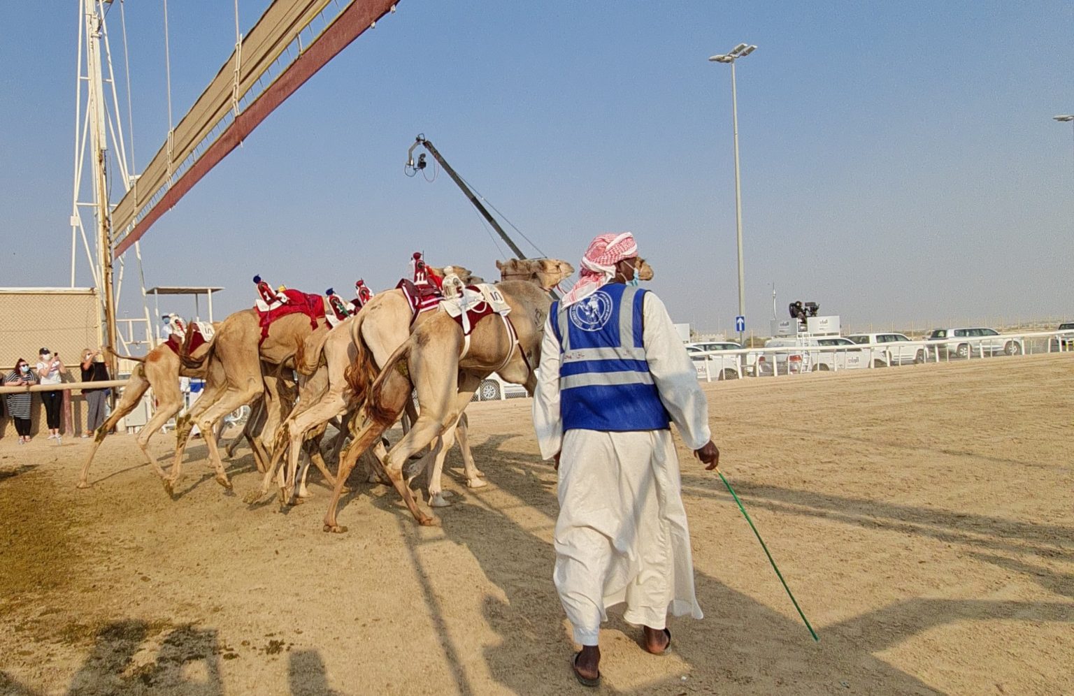 Camel Racing in Qatar - New In Doha - Inspiring You to Explore Qatar