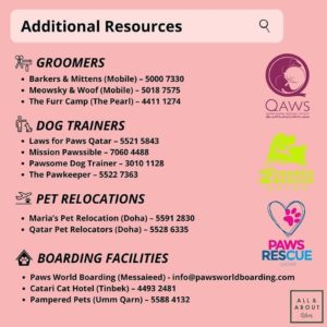THE ULTIMATE PET GUIDE IN QATAR - New In Doha - Inspiring You to ...