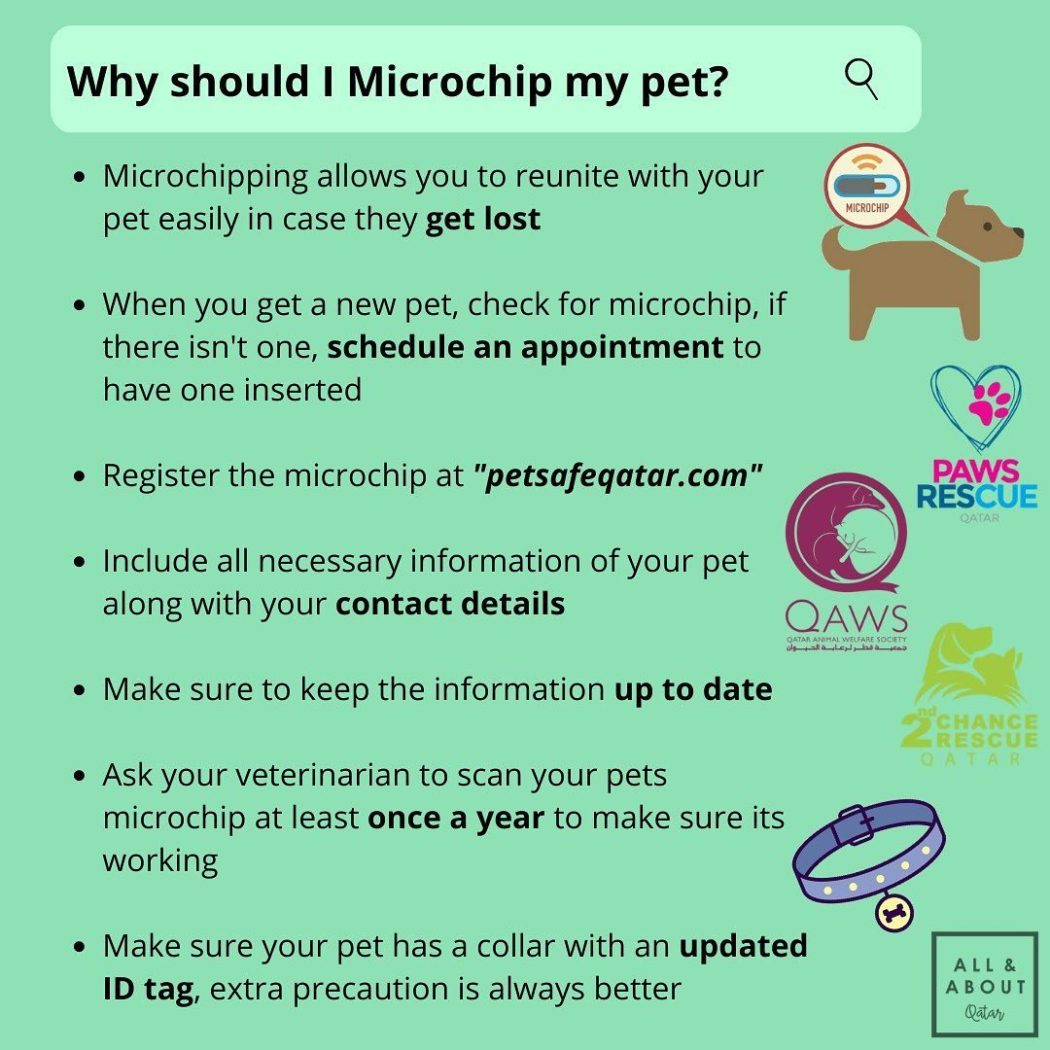 THE ULTIMATE PET GUIDE IN QATAR - New In Doha - Inspiring You to ...