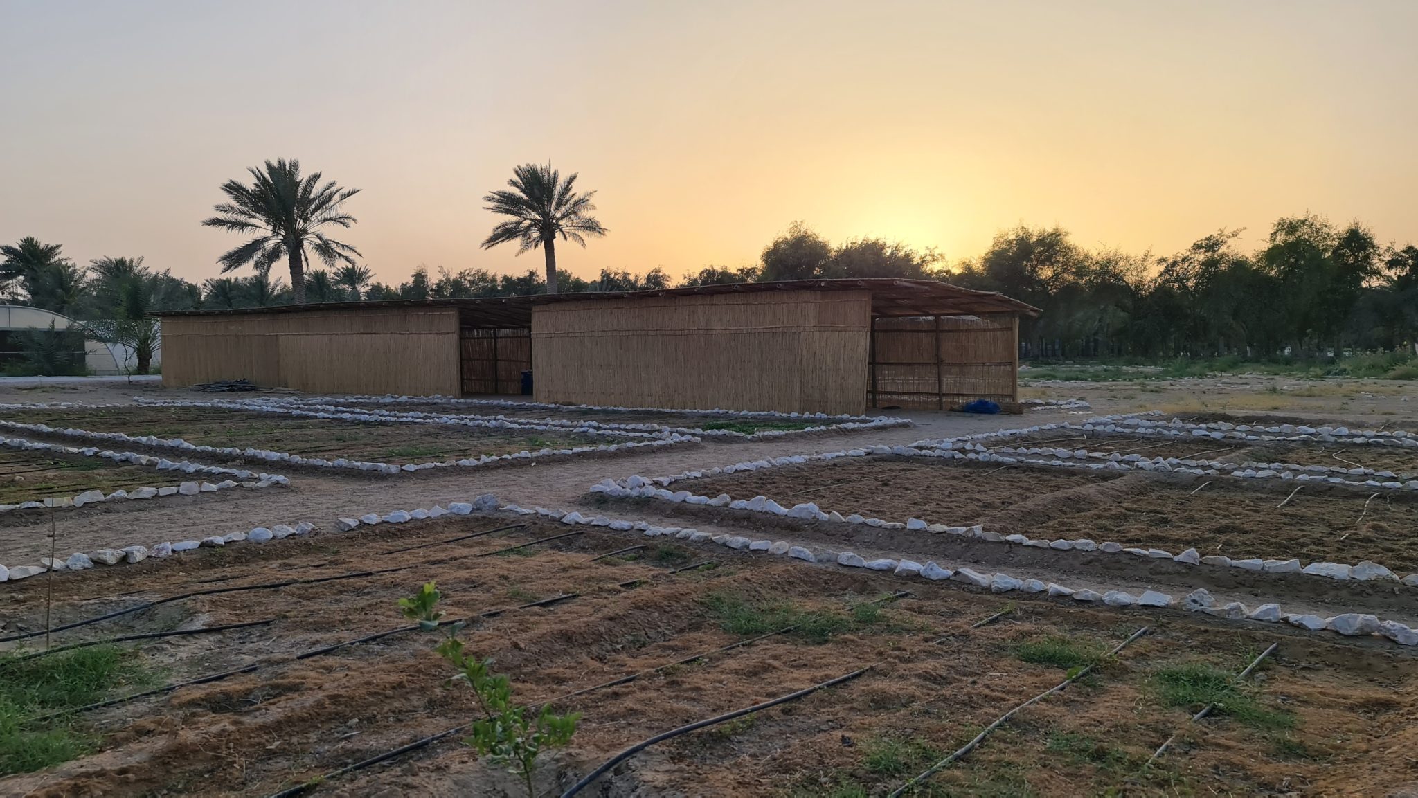 Heenat Salma Farm - New In Doha - Inspiring You to Explore Qatar